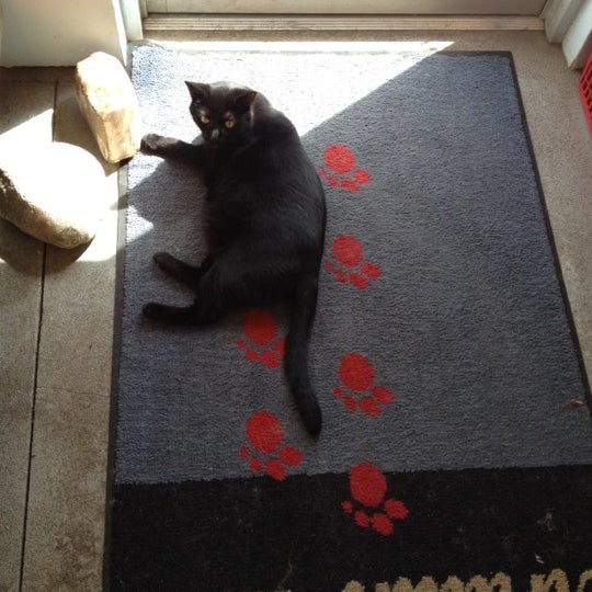 Struttin Pup - 2850 Arapahoe Rd