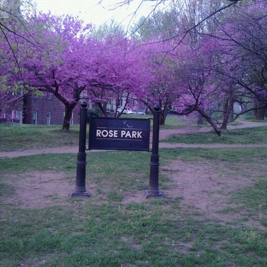 Rose Park - Park in Georgetown