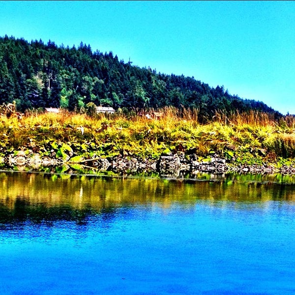Tahuya State Forrest - Belfair, WA