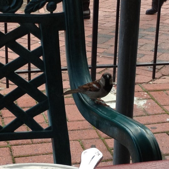 Armand's Chicago Pizza - Capitol Hill (Now Closed) - Pizzeria in Washington