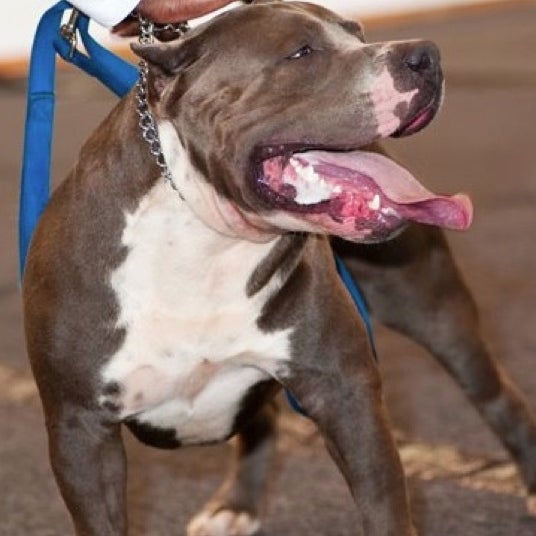 Photos at Palm Harbor University High School (PHUHS) - High School in ...