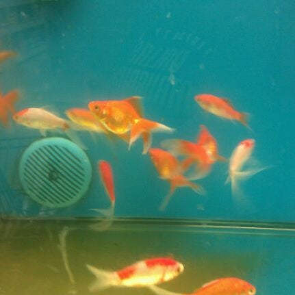 Photos at Walmart Supercenter - Big Box Store in Remcon