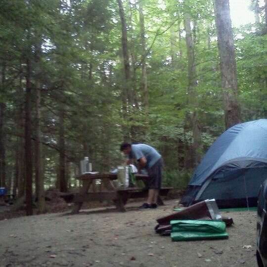 Photos at Clarksburg State Park - Town of Clarksburg, MA