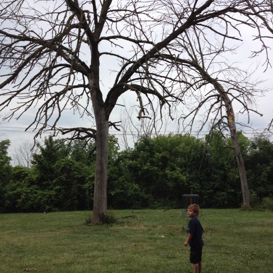 Seitz Middle School - 17800 Kennebec St