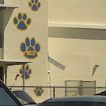 Photos at Belcher Elementary School - Clearwater, FL