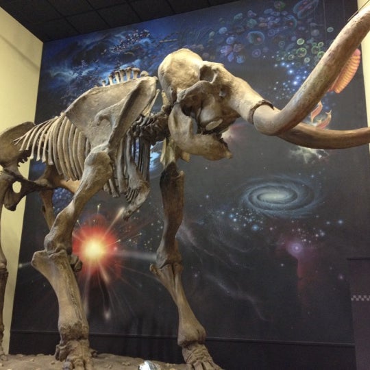 Burpee Museum Of Natural History - History Museum in Rockford