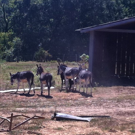 Fitch Farms Galena Plantation - 4 visitors