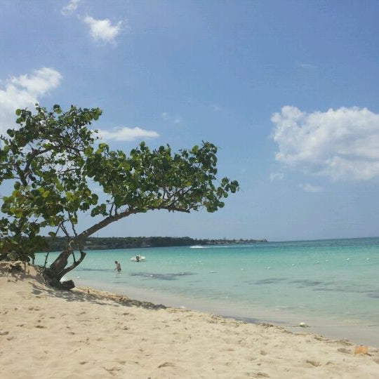 Whitehall Red Ground - Negril, Parish of Westmoreland