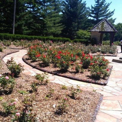 Rose Garden - Des Moines, IA