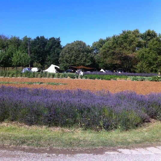 Camping Le Grand Pre - Esparron-de-Verdon, Provence-Alpes-Côte d'Azur