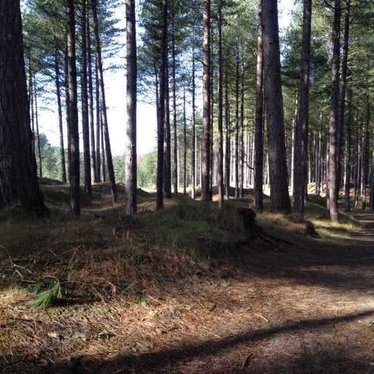 Ainsdale Sand Dunes National Nature Reserve - Pinfold Lane