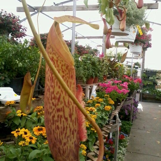 Teske's - Pet Supplies Store