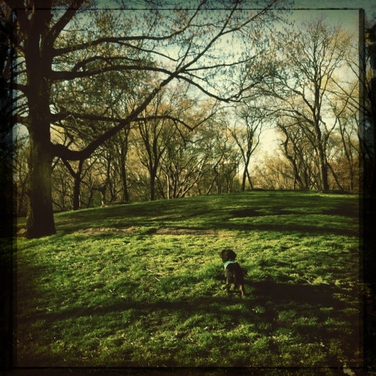 Photos at Summit Rock - Park in New York