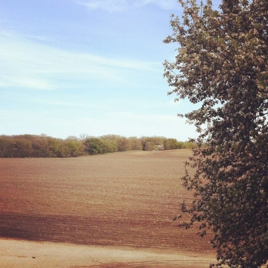 Bayer Farm - Townline Road