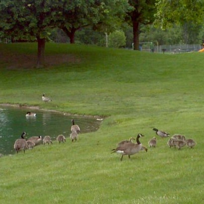 Sharp Park - Lansing, MI