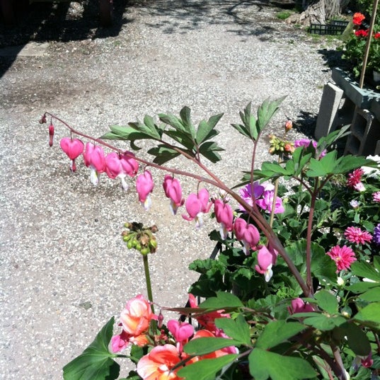 Peck Farms - 27 visitors