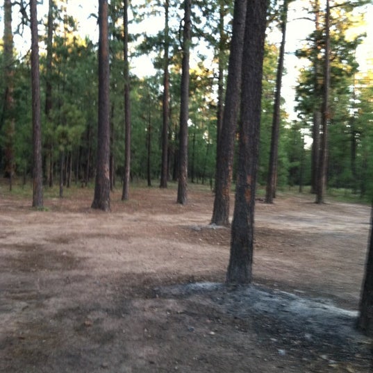 Forest Lakes, AZ - Outdoors & Recreation in Forest Lakes