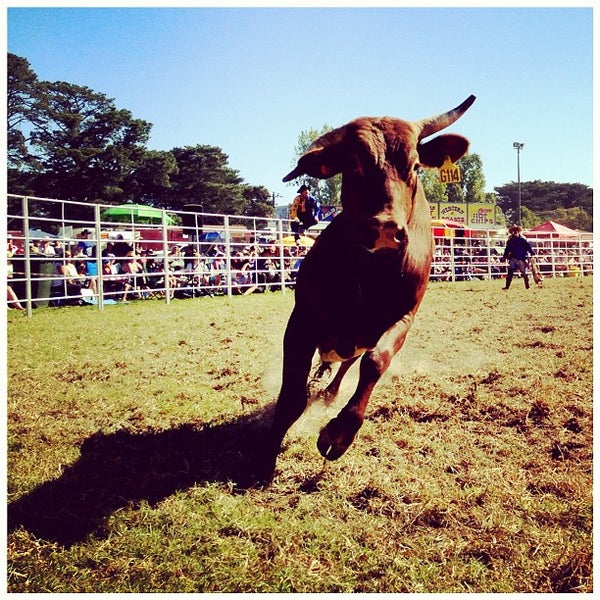 Photos at Whittlesea Showgrounds - 2 tips from 92 visitors