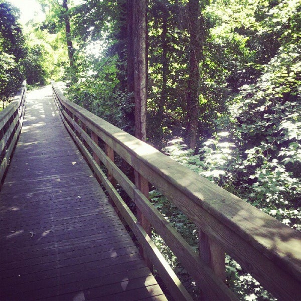 Founders Pointe Pool - Swimming Pool