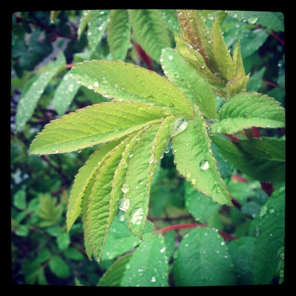 WSU Owen Science & Engineering Library - College Library in Pullman