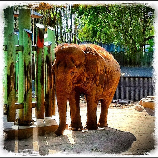 Fresno Chaffee Zoo - Zoo in West Fresno