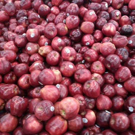 Photos at Sami Fruits - Lasalle, QC