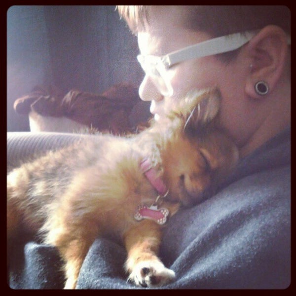 The Valhalla - Oliver - Edmonton, AB