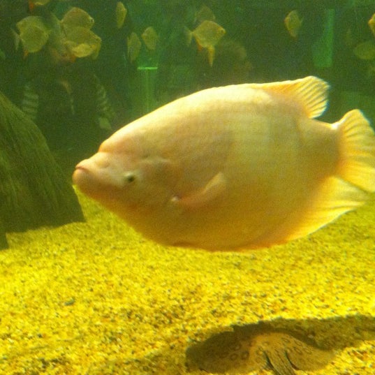 Greater Cleveland Aquarium - Aquarium in Ohio City