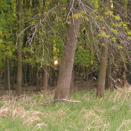 Cashton, WI - Village