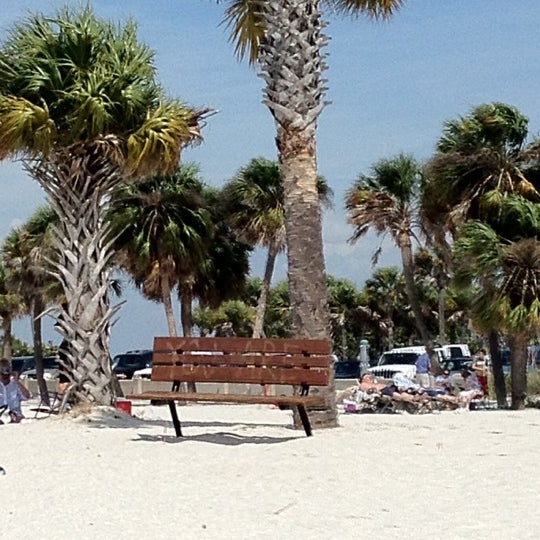 Fred Howard Park Beach - Beach
