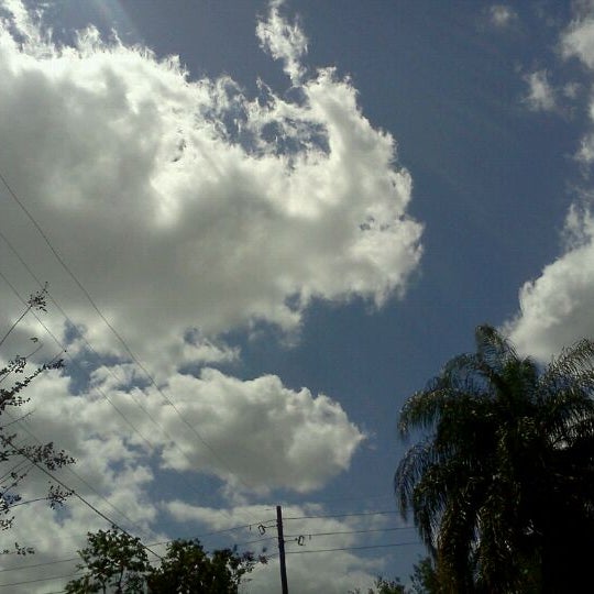 Al Coith Park (Now Closed) - Park in Orlando