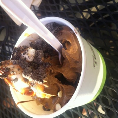 twisted yogurt - St. Albert, AB