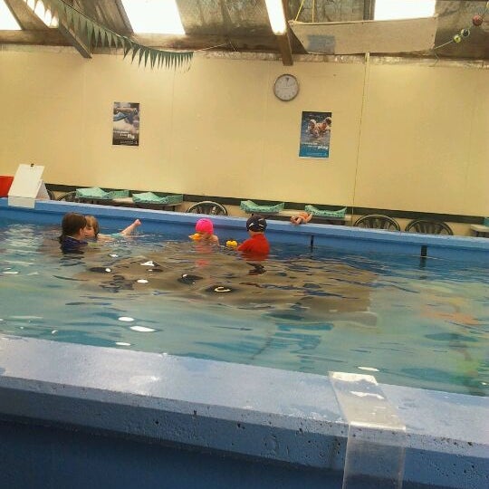 Tawa Primary School Pool - Tawa, Wellington