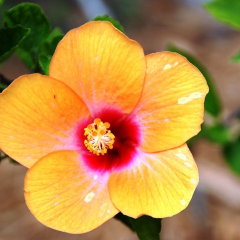 Photos at Palm Harbor University High School (PHUHS) - High School in ...