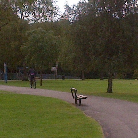 Forster Memorial Park - 5 tips