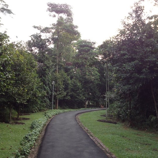 Yishun Park - Yishun - 9 tips