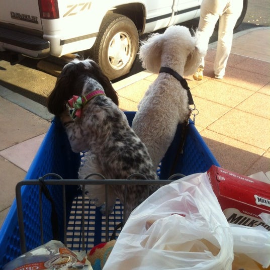 Photos at PetSmart - Brea, CA