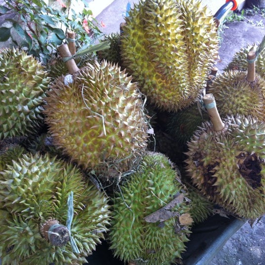 Gloria Farms - 14 visitors