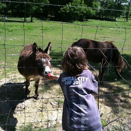 Brookhill Ranch Camp - Hot Springs Village, AR