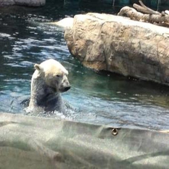 Point Defiance Zoo & Aquarium - West End - 5400 N Pearl St