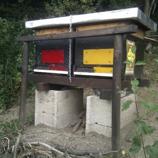 Bienenstöcke auf der Feilerhöhe - Purkersdorf, Niederösterreich