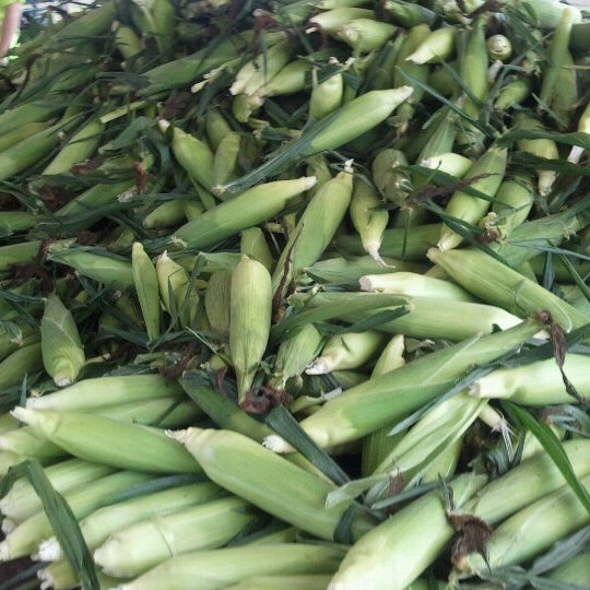 Roberts Ridge Farm - Shawboro, NC