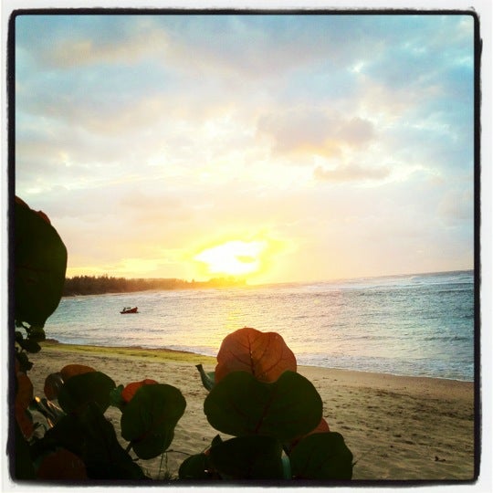 Shacks Beach - 16 tips from 214 visitors