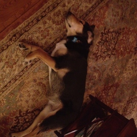 Photos at Adanac Ski Hill - Ski Resort and Area in sudbury