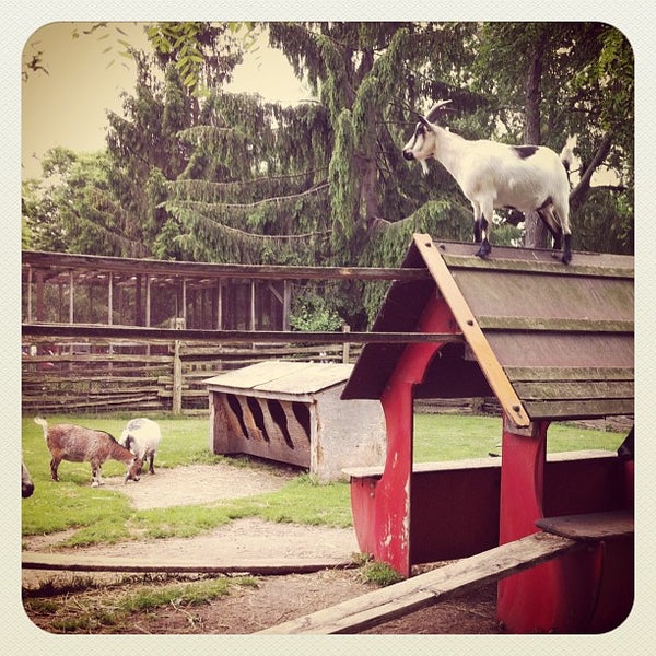 Far Enough Farm - Toronto Island Park