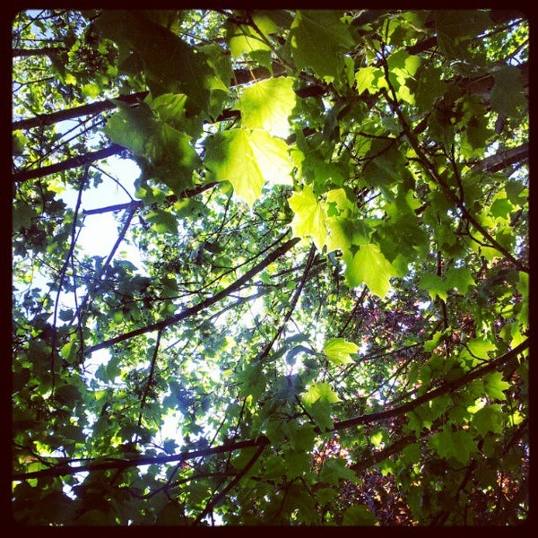 Photos at Redhill Memorial Park - 8 tips