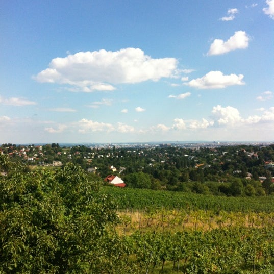 Neustift am Walde - Neighborhood