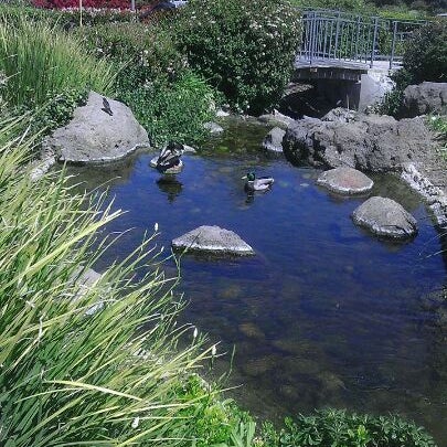 Photos at The Commons at Calabasas - Shopping Mall