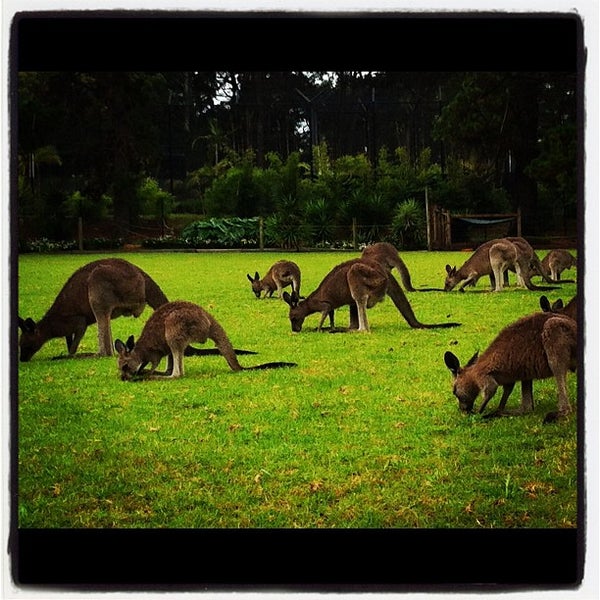 Symbio Wildlife Park - Zoo