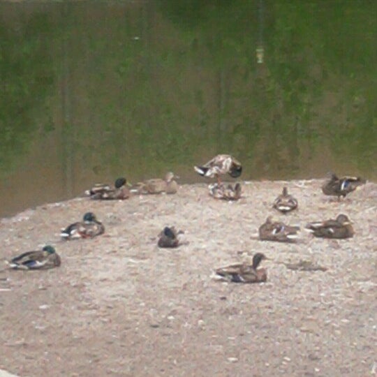 Photos at Elgin Riverwalk - Downtown Elgin - 7 tips from 278 visitors